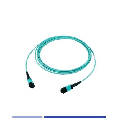 China 24 Strand MTP® Fiber Optic Patch Cord Female OM3 Multimode Patch Cable 3m Type A OFNP for sale