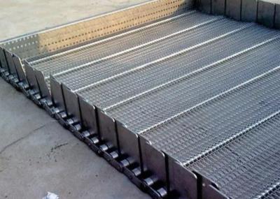 Cina Materiale termoresistente di Mesh Chain Conveyor 304SS del cavo della tela in vendita
