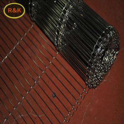 중국 3-200m 회전망 벨트 청소 건조 냉각 베이킹을 전달하기 위해 2.5-50mm Pitch 판매용