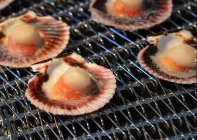 중국 해산물 냉장고 304 316 스테인리스 나선 메시 벨트 판매용