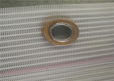 Cina cinghia a spirale del poliestere di plastica del bordo di 3cm per carta da imballaggio in vendita