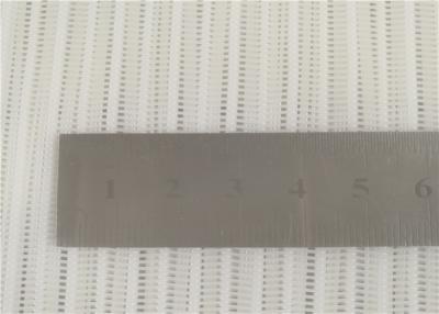 Cina Poliestere a spirale Mesh Belt Flat Surface di larghezza 1-10mm del ciclo in vendita