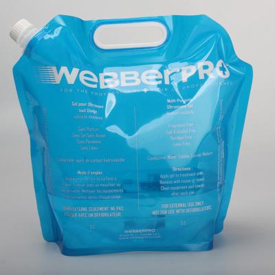 Cina Hot Sales Moisture Proof Plastic Bag Stand Up Pouches Special Form Spout Water Doypack Pouches With Spout in vendita