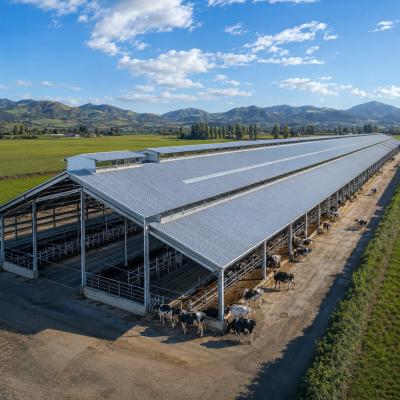 China Ventilated Steel Framed Agricultural Buildings Stable For Horse And Cow for sale