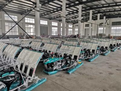 China 8 Row Riding Type Rice Transplanter for sale