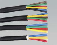 China Plastic Insulated Control Cable for sale