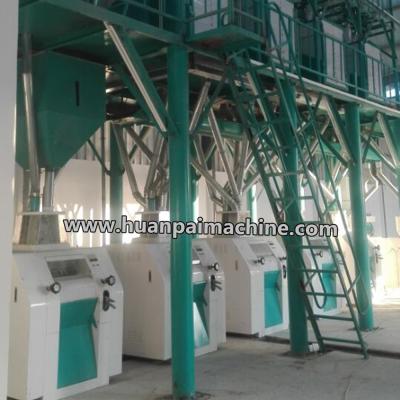 China 45-80TPD grain processing machine, wheat flour making machine, milling wheat for sale