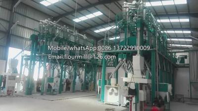 China 50-60TPD maize milling machines posho mill machine maize processing machinery for sale
