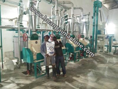 China 30-35TPD maize milling machines corn mill machine fufu making machine maize grinding machine for sale