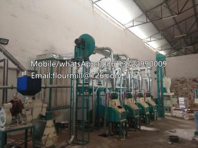 China 10-25TPD maize milling machine price flour milling machine small flour mill machinery prices for sale