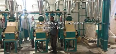 China 30TPD machine farming / corn grits packaging machine / used flour mill for sale