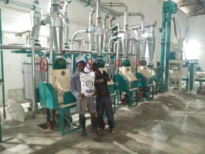 China 12-14TPD maize milling machine, corn flour making machine, maize flour milling machines for sale