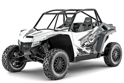 China RJ TECH 24V 36V 48V 50AH 150AH 2000AH LITHIUM LIFEPO4 BATTERIES FOR ARCTIC CAT ELECTRIC UTV IEC62619 MSDS CERTIFIED for sale