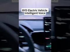 BYD 세이걸 EV 해치백 MINI 전기 자동차 범위 405KM 도시 교통