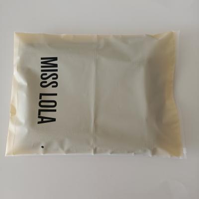 Cina Grave Printing Zipper Plastic Bag for Garment Packaging Logo personalizzato e impermeabile in vendita