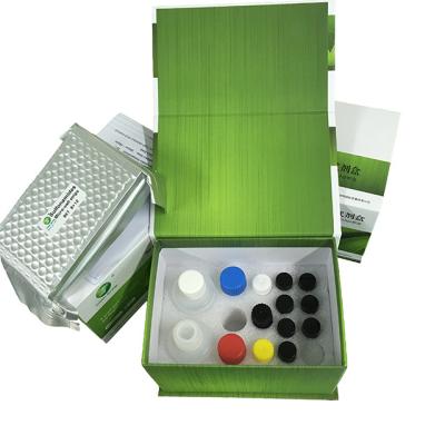 China LSY-10073 Green Spring Cimeterol ELISA test kit to detect Cimeterol residue in urine and meat samples for sale