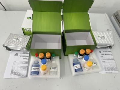 China ELISA test kits avian influenza 96wells AIV Antibody immunossay set 2plates LSY-30028 for sale