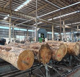 China Factory - GUANGDONG JZL WOOD INDUSTRY CO., LTD