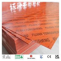 Quality Other Construction Plywood for sale
