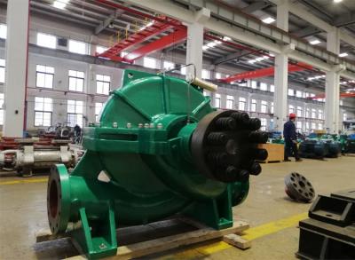 Cina L'orizzontale di SS304 800-1450m3/H ha spaccato la pompa centrifuga di rivestimento/pompa centrifuga del motore in vendita