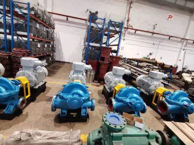 Cina la parte radiale protetta contro le esplosioni della pompa centrifuga 1470rpm di 3.3kV 6kV ha spaccato la pompa di rivestimento in vendita
