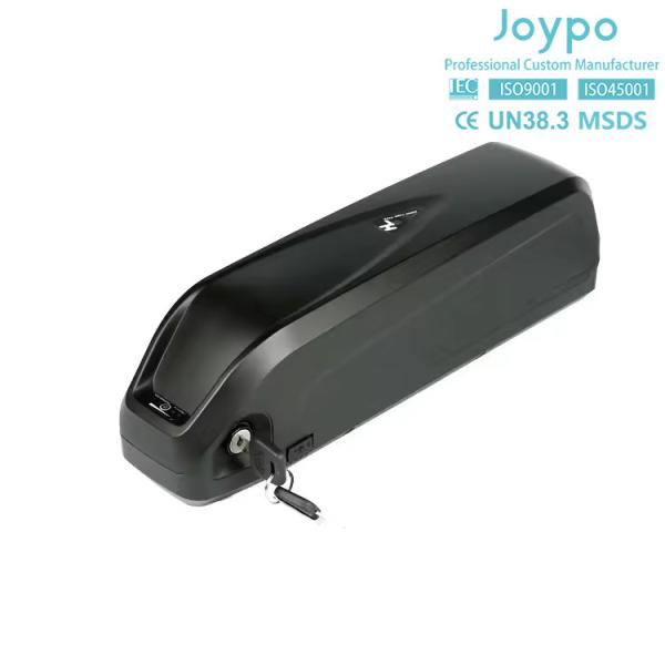 Quality 18650 Rechargeable Lithium Ion Battery Pack Electric Bicycle 48V 20Ah Lithium for sale