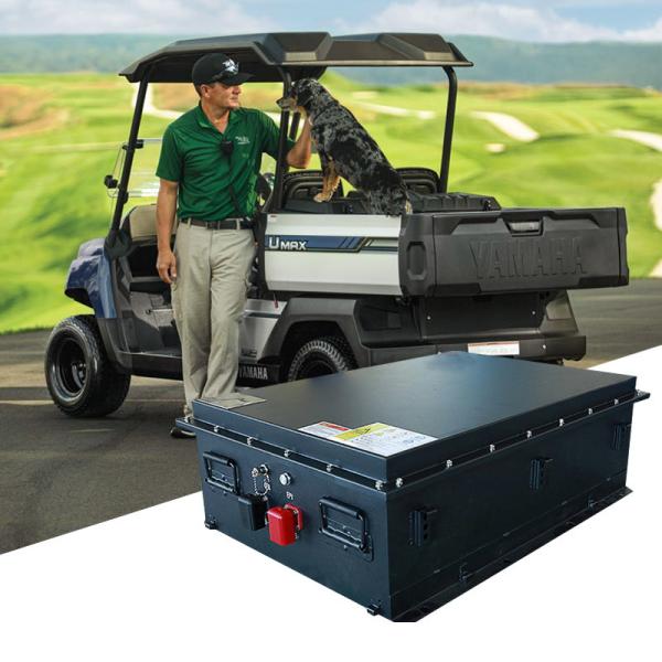 Quality Club Car Golf Cart Lithium Battery 125Ah 51.2V LiFePO4 Battery 4000 Times Cycle for sale