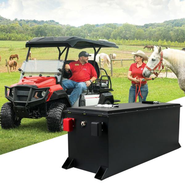 Quality Long Life Golf Cart Lithium Battery 48V 200Ah LiFePO4 Battery With Smart BMS for sale