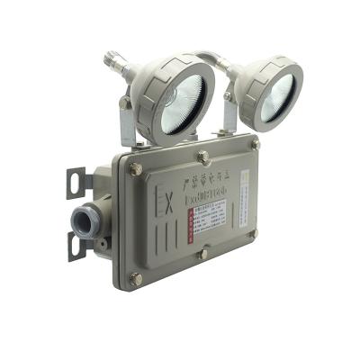 China Litio Ion Battery Emergency Light White 1000Lm 6500K del LED 3 horas en venta
