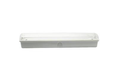 Cina 8W Emergency Ip65 Bulkhead Light 6500K 150Lm Wall Mounting in vendita