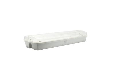 Cina 8W Emergency Ip65 Bulkhead Light 6500K 150Lm Wall Mounting in vendita