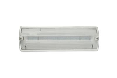 Cina 8W Emergency Ip65 Bulkhead Light 6500K 150Lm Wall Mounting in vendita