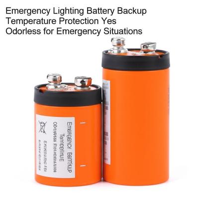 China Emergency Lighting Battery Backup Temperature Protection Yes and Odorless for Emergency Situations for sale