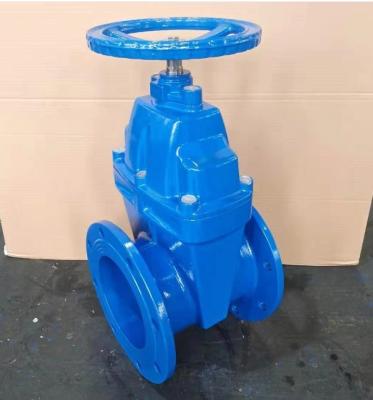 Cina Valvola di porta di tipo flange in ghisa HT200 personalizzata con ruota di ferro duttile in vendita