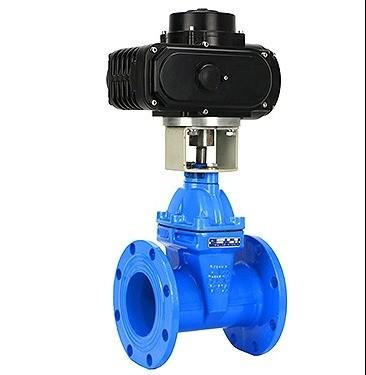 Cina Valvola di porta di tipo flange in ghisa HT200 personalizzata con ruota di ferro duttile in vendita