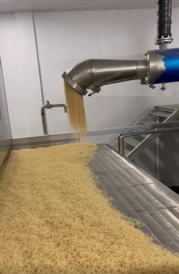 Cina Estrusione della gelatina elettrice nella pelle dell'osso del pesce in vendita