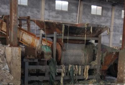 China Customized Stainless Steel Cowhide Sheep Pig Skin Cutting Machine for Making Gelatin for sale