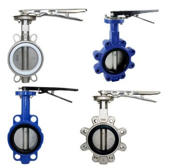 Cina Valvola farfalla in acciaio inossidabile personalizzabile con assistenza post-vendita e opzioni OEM in vendita