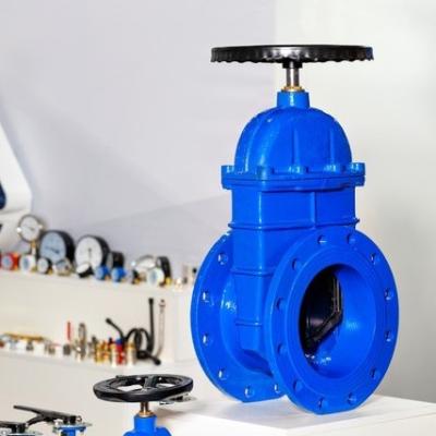 Cina Valvola di porta in ferro fuso e acciaio inossidabile resistente con portata personalizzata in vendita