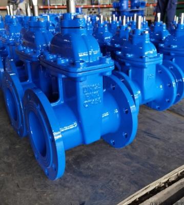 Cina Valvola di porta in acciaio inossidabile con connessione a flangia e funzionamento manuale in vendita