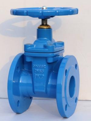 Cina Valvola di porta in acciaio inossidabile con connessione a flangia e funzionamento manuale in vendita