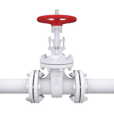 Cina Servizio personalizzato Valvola di cancello in ghisa a flangia con struttura di scarico e arresto in metallo in vendita