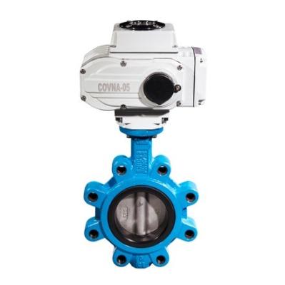 Cina Supporto personalizzato ODM Manuale in acciaio inossidabile Worm Gear Lug Butterfly Sanitary Valve in vendita