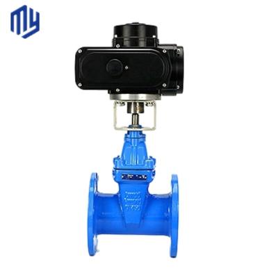 Cina Valvola di porta di ferro flessibile robusta per un controllo ottimale del flusso nei sistemi idraulici in vendita