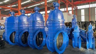 Cina Dipende dalle specifiche CI DI Rubber Seal Gate Valve con i migliori prezzi in vendita