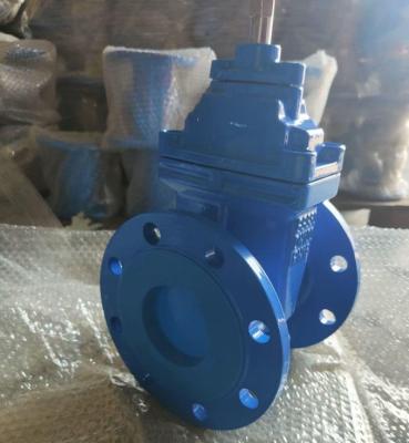 Cina Valvola di cancello in ghisa flessibile su misura con sedile in gomma a scivolo parallelo per mezzi idrici in vendita