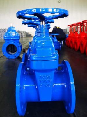 Cina Valvola di cancello in ghisa flessibile su misura con sedile in gomma a scivolo parallelo per mezzi idrici in vendita