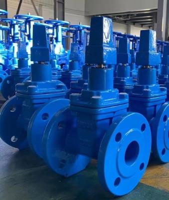 Cina Valvola di cancello in ghisa flessibile su misura con sedile in gomma a scivolo parallelo per mezzi idrici in vendita