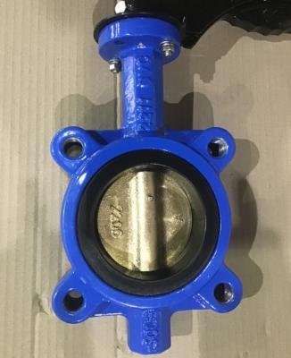 Cina Valvola a farfalla personalizzabile DN600 DI CI Corpo SS Disco Lug in vendita