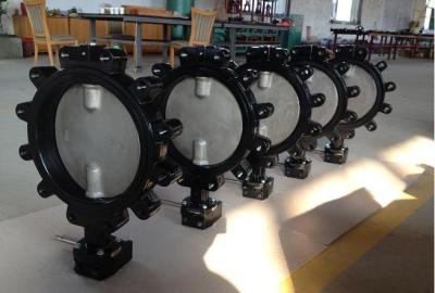 Cina Valvola a farfalla personalizzabile DN600 DI CI Corpo SS Disco Lug in vendita